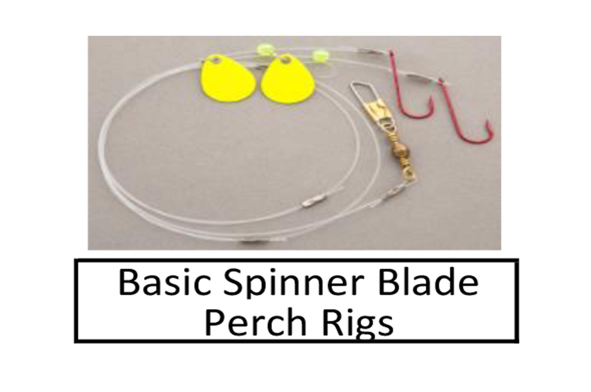 Perch Rigs - D&B Fishing